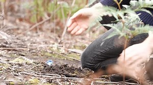 Taking Soil Sample Soil Test Field: vídeo stock (100% livre de direitos) 1106921711 | Shutterstock