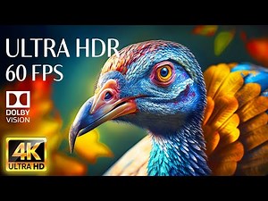 4K HDR 60fps Dolby Vision with Animal Sounds & Calming Music (Colorful Dynamic) #12