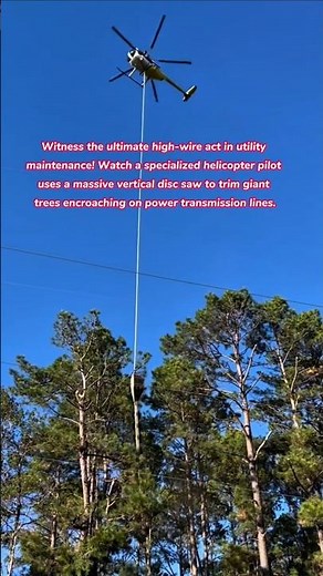 Insane Precision! 🚁 Helicopter Saw Trimming Power Lines! 🪚⚡#tree #trees #forest #helicopter #how