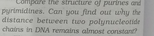 Compare the structure of purines and pyrimidines. Can you find ... | Filo