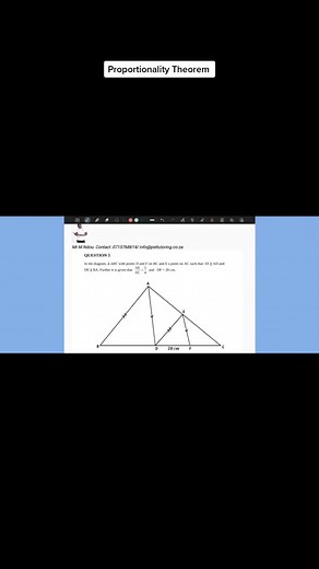 Pursue Excellence Tutoring on TikTok