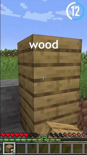 Speedrun a Nether Portal in 30 SECONDS! (Without Tools)