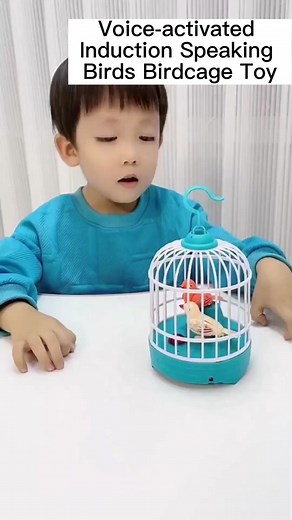 Voice-Activated Induction Speaking Birds & Birdcage Toy