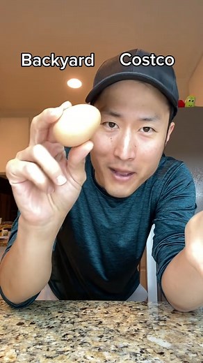 Costco vs backyard egg review #costco #backyardchickens #foodreview #foodreviewer #viralreelsfbpage #egg | Shophocho