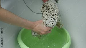 A woman wrings out a hand-washed dress over a basin, closeup view. Laundry, washing by hands. Washing at home, housekeeping and housework.