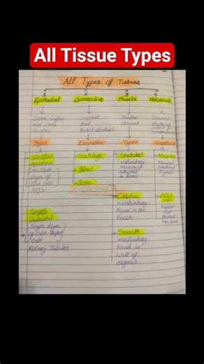 How many types of tissue and there examples, #shorts ,#anatomy ,#video ,#biology