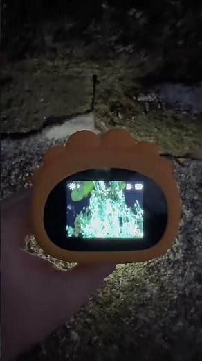 Snowflakes under a microscope #microscope #snow #snowflakes