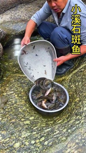 #"Catching Fish From Pools !! Village Fishing " Collecting Fresh Fish From Mountain stream #fishing