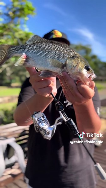 @A @🇹🇴🇳🇿 #foryoupage #fishing #insalt #1000 #fishinggear #fypシ