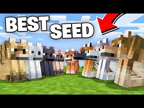 The PERFECT Seed For Minecraft 1.21! (All New Wolf Variants at Spawn!)