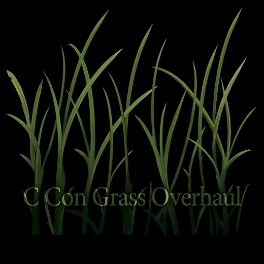 C Consciousness Grass & Trees v0.71 addon - S.T.A.L.K.E.R. Anomaly mod for S.T.A.L.K.E.R.: Call of Pripyat