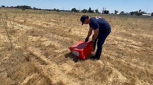 Fire crews with the Fresno Fire Department were shopping for groceries Tuesday morning when they noticed a commotion in the parking lot where people thought they found a rattlesnake. DETAILS: https://bit.ly/3W8aOzm (Photo: Fresno Fire Department) | FOX26