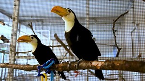 4.2K views · 265 reactions | BIG NEWS: We recently welcomed the very...