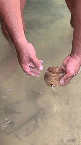 🌊🥒 #greatmaster | Great Master