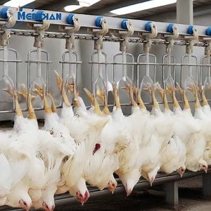 [Hot Item] Mini Poultry Slaughter Line Automatic Small Scale Chicken Processing Equipment for Farms