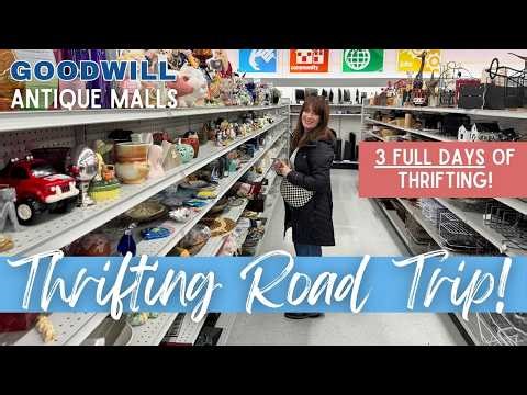 3 DAY THRIFTING ROADTRIP! Goodwill, Antique Malls & More!