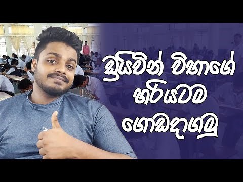 2024 Sri Lankan Driving License Exam: Key Questions and Answers to Pass Your Test |Drive with sachee