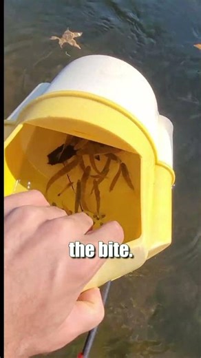 How To Catch More Blue, Flathead & Channel Catfish: FATKAT Best Drift Bobber Catfish Fishing Rig