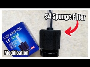 Modifying A $4 Sponge Filter! | How To Make Your Sponge Filter Better | Money Saving Technique