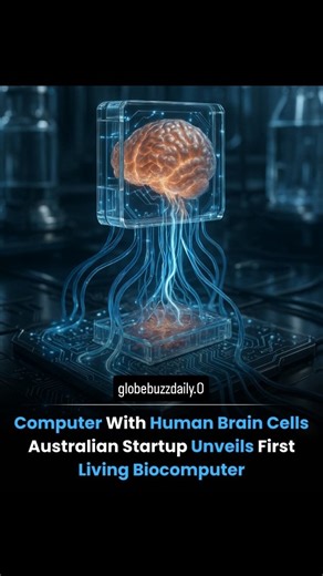 globebuzzdaily on Instagram: "An Australian startup has unveiled the world’s first living biocomputer, powered not by silicon chips but by human brain cells. Researchers grew lab-based neurons and connected them to electronic systems, creating a hybrid machine capable of processing information like a brain. Unlike traditional computers, which rely on binary logic, this system can learn, adapt, and recognize complex patterns with remarkable efficiency. One striking achievement was that this bioco