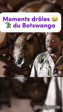 😂 Complètement loufoque ce film. Je ne m’en lasse pas. #film #humoristefrancais #humour