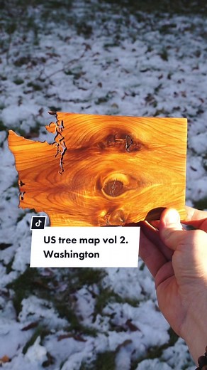 Replying to @rat_in_your_walls US tree map vol 2. ep 4) Washington made out of western redcedar #trees #woodworking #statetreemap #treemap #washington #cedar
