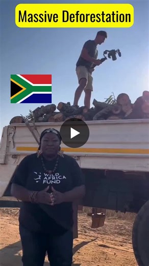 #africa #deforestation #climateaction #sustainability #carboncredits #naturebasedsolutions #regenerativeagriculture | Victor Garlington