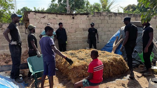 Building a Compost Pile from Scratch