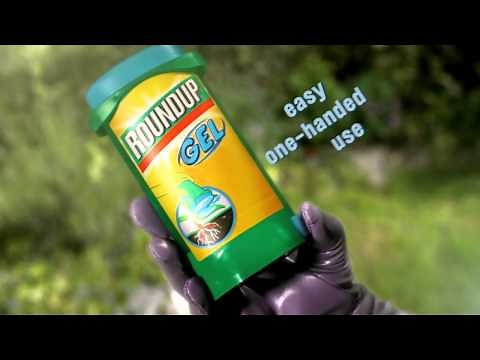 How To Use Roundup Gel | Video | Roundup Weedkiller
