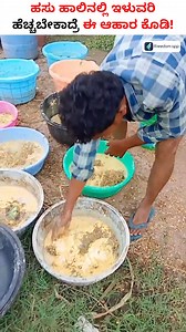 2.1M views · 36K reactions | ಹಸುವಿನ ಹಾಲಿನ ಪ್ರಮಾಣ ಹೆಚ್ಚಾಗಲು ಈ ಆಹಾರ ಕ್ರಮಗಳನ್ನ ಅನುಸರಿಸಿ! #shorts #cowmilkproductionಹಸುವಿನ ಹಾಲಿನ ಪ್ರಮಾಣ ಹೆಚ್ಚಾಗಲು ಈ ಆಹಾರ ಕ್ರಮಗಳನ್ನ ಅನುಸರಿಸಿ! #shorts #cowmilkproduction | Boss Wallah Farming Kannada | Facebook