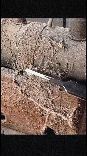 Spider webs Removed & Rust Cleaned 😱 | iron Thing Restoration #shorts