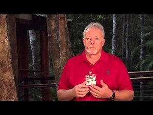 How To Identify Dry Rot - DIY At Bunnings