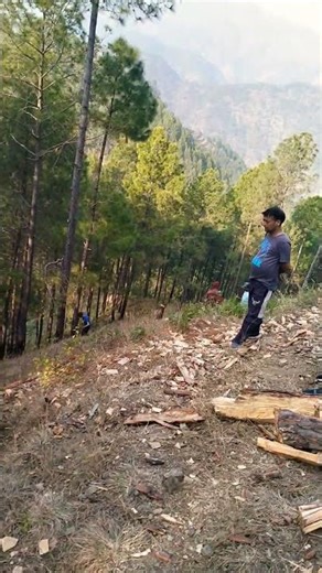 jungle mein #viral #uttrakhnd #hindudeity #shortsfeed #uttrakandi #hindugod #trending