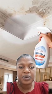 Mold remover spray is all you need to remove molds in your house | Beauty's Corner