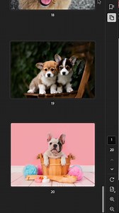 11K views · 72 reactions | Serious pupdate underway. Please respect my workflow  | Adobe Acrobat | Facebook
