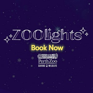 Experience Perth Zoo’s BIGGEST ever lights display – ZOOlights! ✨ From Saturday 27 September, discover over 300 NEW dazzling lanterns each night until 7:30pm. 朗 Plus, with a Zoo membership, you can attend our exclusive member evening! Don’t miss out – ZOOlights is on for two weeks only. Book now! | Perth Zoo | Facebook