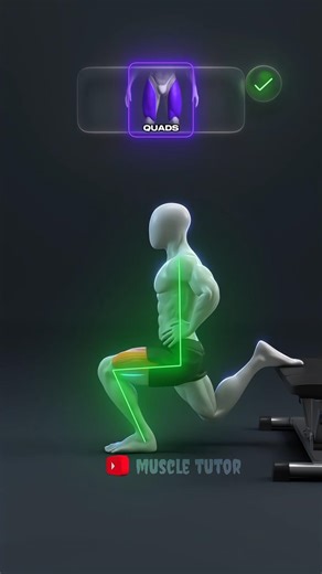 🔥Bulgarian split squat hits different muscles💪#gym #fyp #fypシ゚viral #shorts #trending #viral#edit#yt