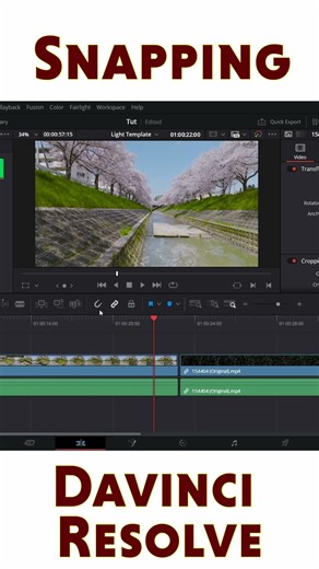 Snapping | Davinci Resolve | Davinci for Beginners #davinciresolve #davinci #tutorial #