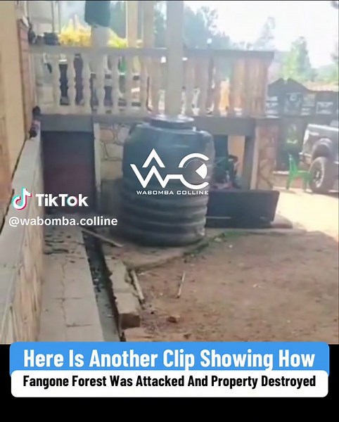 Pallaso's Encounter at Fangone: Alien Skin Attack