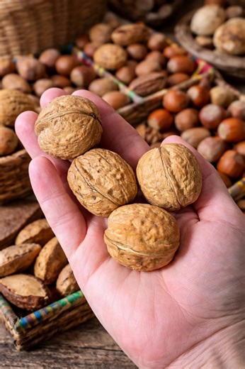 20 English White Walnut Tree Seeds – Hardy Juglans Regia Nut Tree Seeds for Planting, Edible Nuts, Fast Growing Shade Tree - Etsy