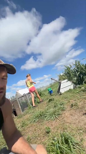 45K views · 1.3K reactions | It's hatching time for our duck! #hatchtime #duck #eggs | White House on the Hill | Facebook