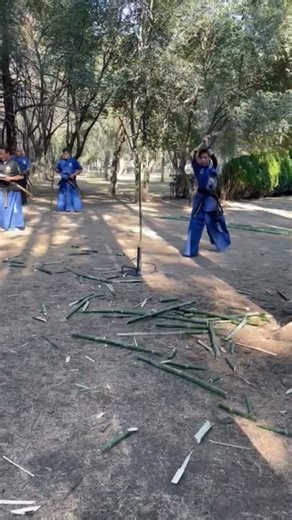 #gumdo #haidonggumdo #martialarts #kumdo #sword #sable #jingum #blade #hwarang #sonbae #koreansword