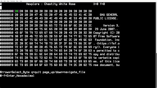 Chastity White Rose on Instagram: "I don't know why I did this to myself, but I rewrote my Hexplore program in pure Intel Assembly language for Linux. The source is twice as big as chastehex and is split between 4 source files. This iprogram s a full interactive hex editor that runs in a terminal. Using only Linux system calls and ANSI escape sequences, I can display all the text where I want in the terminal and even do fancy things like highlight the currently selected byte with green. Every ti
