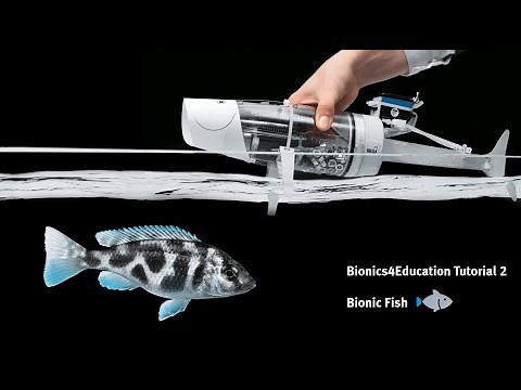 Tutorial 2 Bionics4Education – The Fin Ray Effect explained with the Bionic Fish