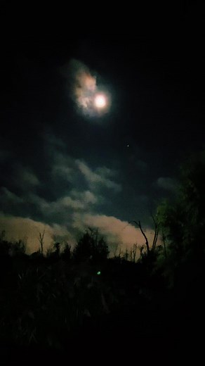 Remembering a Loved One: Eternal Heartfelt Memories