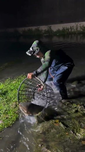 Extreme Night Fishing with Cage Trap | Shocking Catch in Shallow Canal! #shortselling