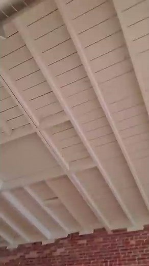 Do Triangles Have Four Sides? #shorts