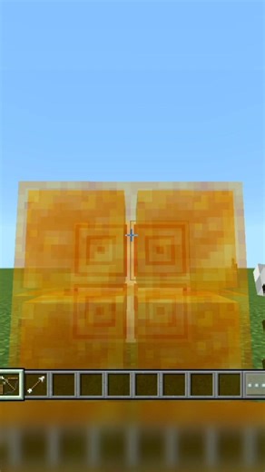 Minecraft Secret Fact!#minecraft