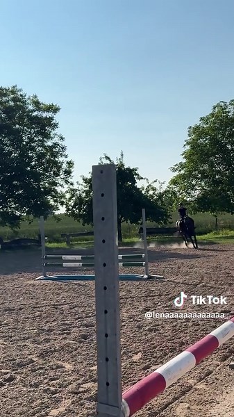 Springreiten: Ein Aufstieg voller Freude!