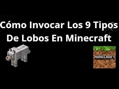 Cómo Invocar Los 9 Tipos De Lobos En Minecraft Bedrock Y Java Guía Completa